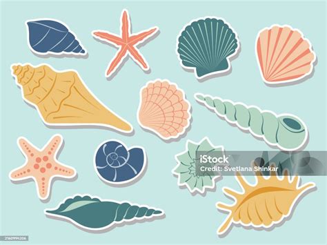 Cute Shells Sticker Pack Stock Illustration Download Image Now