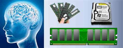 Should You Use Virtual Memory Settings In Windows 11 A Step By Step Guide Digital Tech