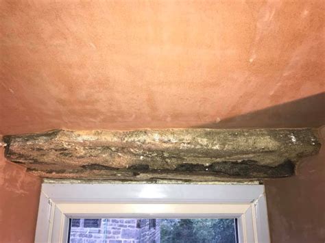 Lee Mousley Plasterers