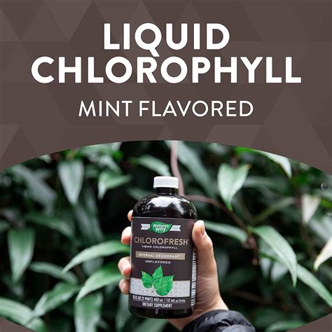 Natures Way Chlorofresh Liquid Chlorophyll Concentrate 16 Fl Oz
