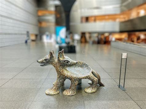 Two Headed Wolf Statue In Museum Display Editorial Photography Image