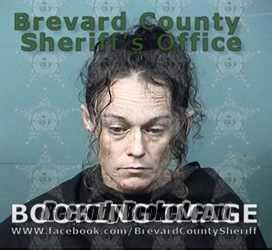 Recent Booking Mugshot For Ashley Sunshine Fisler In Brevard County