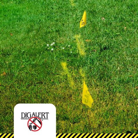 🚩 Follow The Flags For Safe Digging 🚩 Got Your Digalert® Confirmation