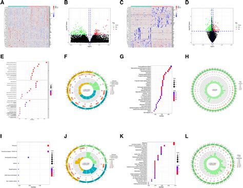 Identification And Functional Analysis Of M Degs And D Degs A The