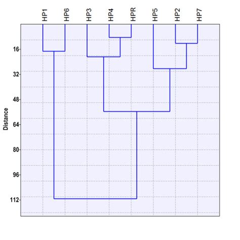 Dendrogram Of The Cluster Analysis Based On Hm Accumulation In The Download Scientific Diagram