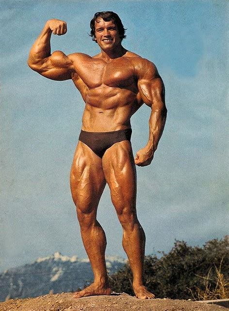 Mr Olympia Arnold Schwarzenegger 1970 1975 A Photo On Flickriver