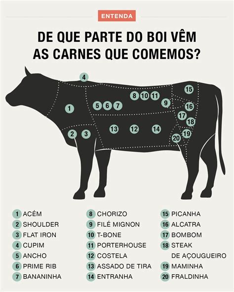 De Que Partes Do Boi Vêm Os Cortes De Carne