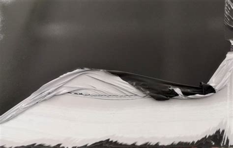 Loss Of Adhesion Refinish Application Defects Home