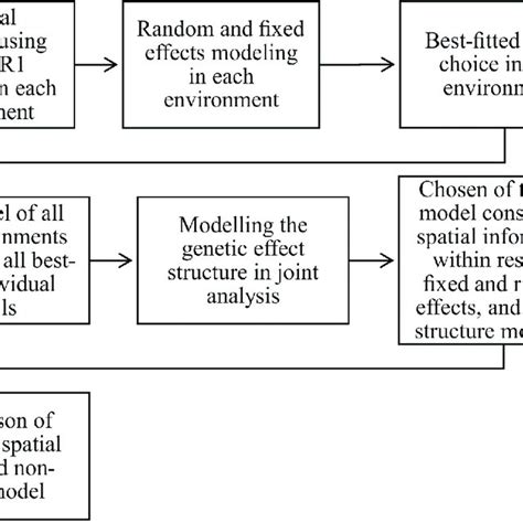 Flowchart Of The Spatial Analysis In Each Trial And Jointly All Steps