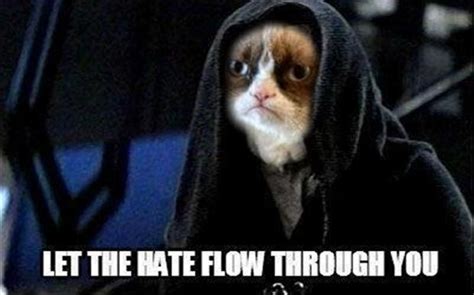 Grumpy Cat Funny Star Wars Pictures Dump A Day