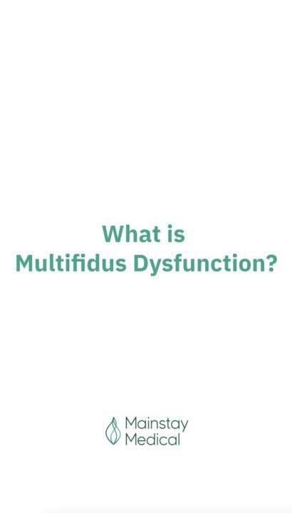 Mainstay Medical On Linkedin What Is Multifidus Dysfunction