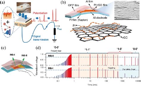 A Intelligent Neuromorphic Sensor Based On Se Teng Technology Can