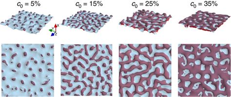 Topology Generating Interfacial Pattern Formation During Liquid Metal Dealloying Abstract