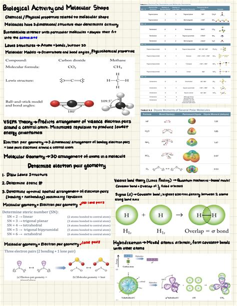 Chapter 9 Molecular Geometry Shape Determines Function Biological Activityand Molecular Shape