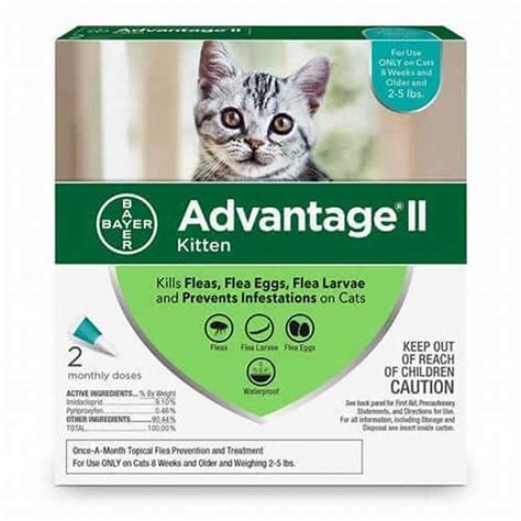 What Is The Most Effective Flea Medication For Cats Diy Seattle