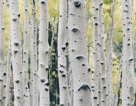 Whats The Difference Between 2x And 8x In Upscaling Image