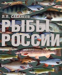 Книга "Рыбы России" Сабанеев Леонид Павлович – купить книгу ISBN 978-5 ...