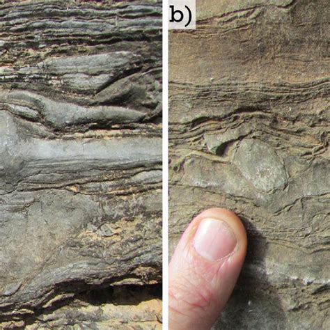 Mlb Facies A Occurrence Of Tepees In The Microbial Laminites B