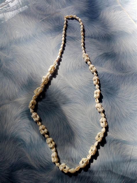 Sea Shell Leis Strellieta Nassa Necklace Sold Per Dozen Lazada Ph
