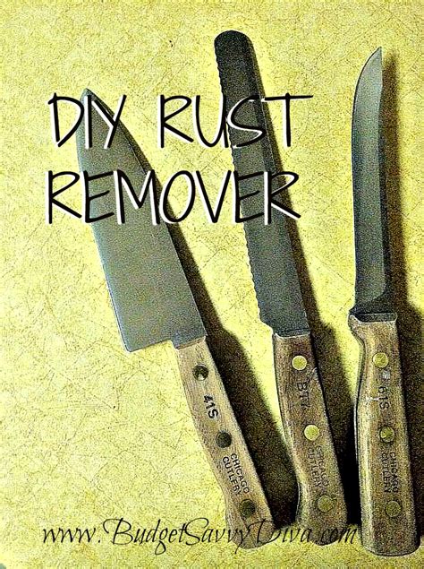 Diy Rust Remover Budget Savvy Diva