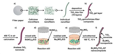 Schematic Illustration Of The Fabrication Process Of Cellulose Derived
