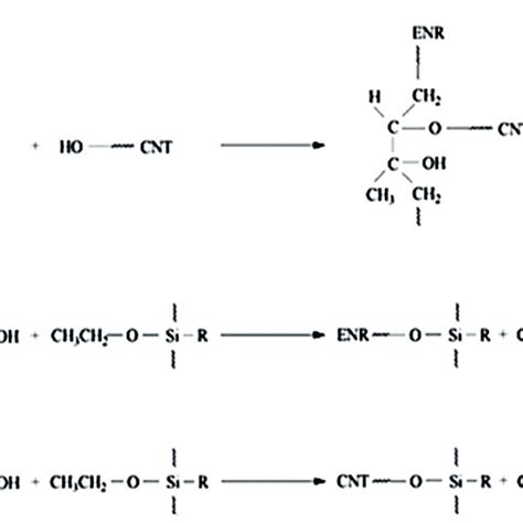 Possible Chemical Reactions Among A Oxirane Ring Of Enr And