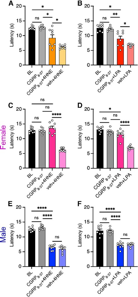 Cold Allodynia Produced By Endogenous Inflammatory Mediators Requires