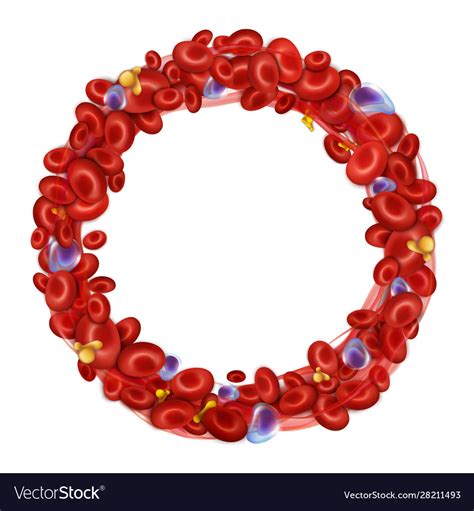 Blood Cell Border