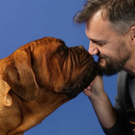 Olivier Casanova Updated His Status Olivier Casanova Facebook