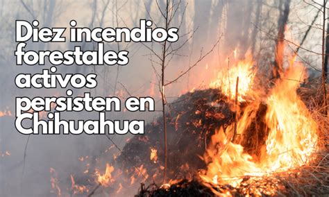 Diez Incendios Forestales Activos Persisten En Chihuahua Informe De La