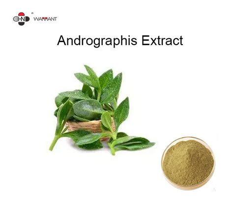 Food Grade Andrographis Paniculata Extract Andrographolide 10 50 98
