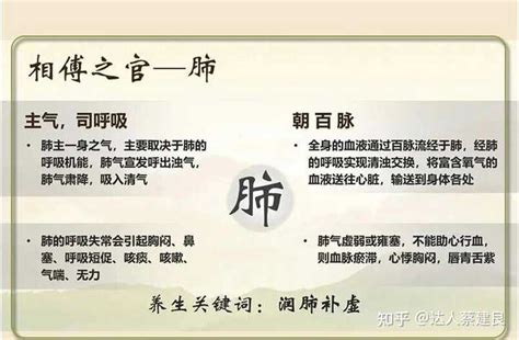 肺阴虚和肺阳虚怎么区别？ 知乎