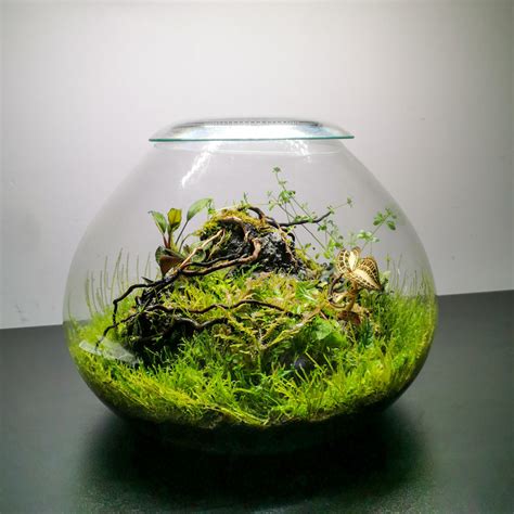 Little Tree Design Biotopes Little Tree Design Biotopes