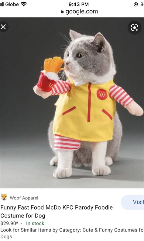 Mcdo Costume For Dogscats Pet Supplies Homes And Other Pet Accessories