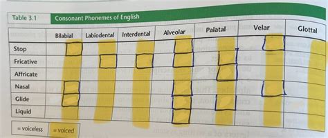 Linguistics Final Diagram Quizlet