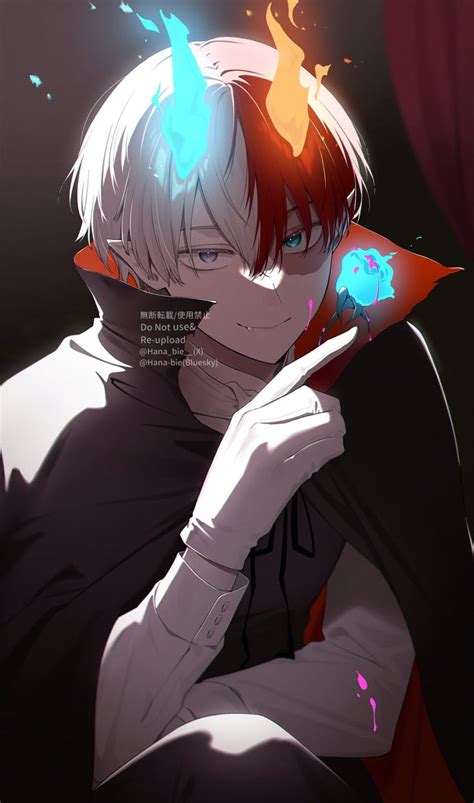 Todoroki Panosundaki Pin