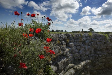 Discover Flanders Fields Visitflanders