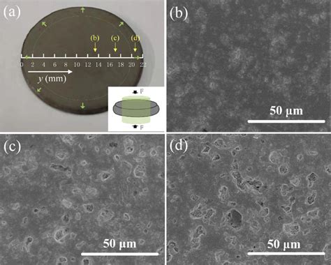 The Gradient Distribution Of Porosity In The Sintered Samples A A Download Scientific