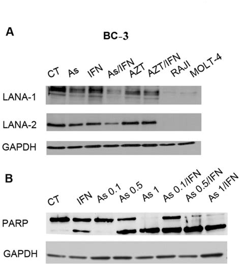 Relative Expression Levels Of Different Samples Were Calculated By