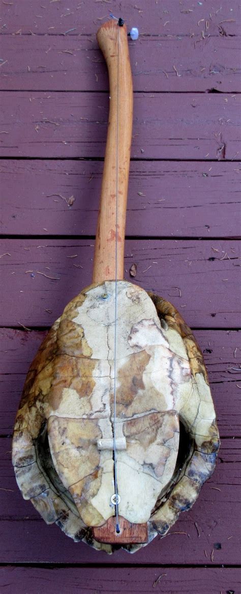The Older You Will Get Turtle Shell Guitar