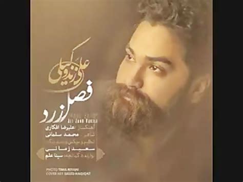 آهنگ جدید و فوق العاده از علی زند وکیلی