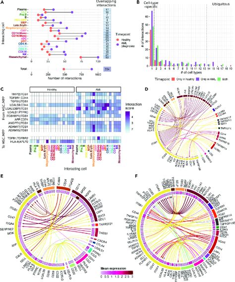 Predicted Interactions Between Hspcs And Their Niche A Download