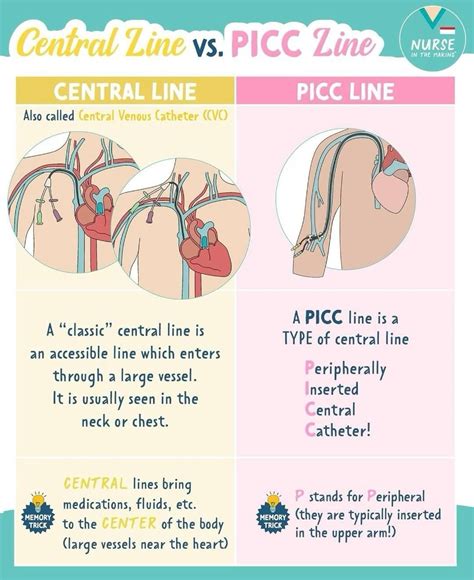 Wound Assessment Printable Pdf Wound Care Documentation Wound Nurse