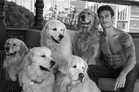 Ariyan A Men Mainboard Nevs