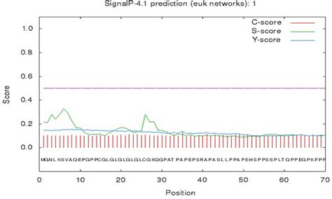 Signal P Output Showed That Human Enos Cleavage Site C Score 0427