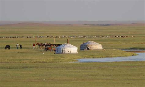Countering Global Threats From Peatland Loss And Degradation Un Water