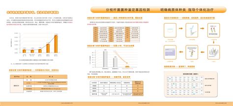 【亚能】分枝杆菌菌种鉴定基因检测试剂盒pcr 反向点杂交法 云医购