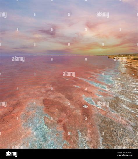Pink Extremely Salty Syvash Lake Colored By Microalgae With