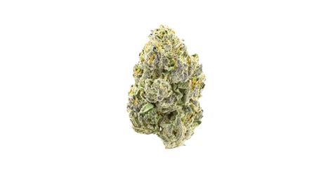 Devils Drip Cannabis Strain Information Growdiaries