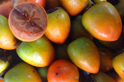 9 Exotic Tropical Fruits To Try In South America Delicioso